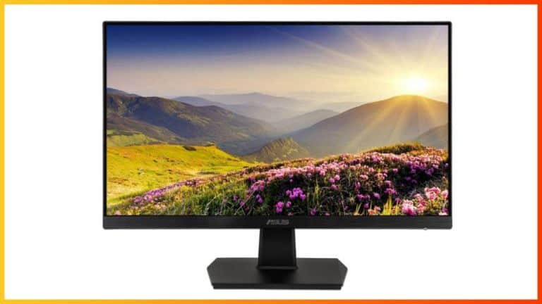 ASUS VA24EHE Review 2025: Everything You Need To Know